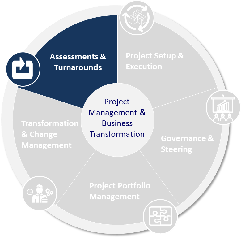 Project Assessments & Turnaround | Pragmatica AG Prozessoptimierung ...